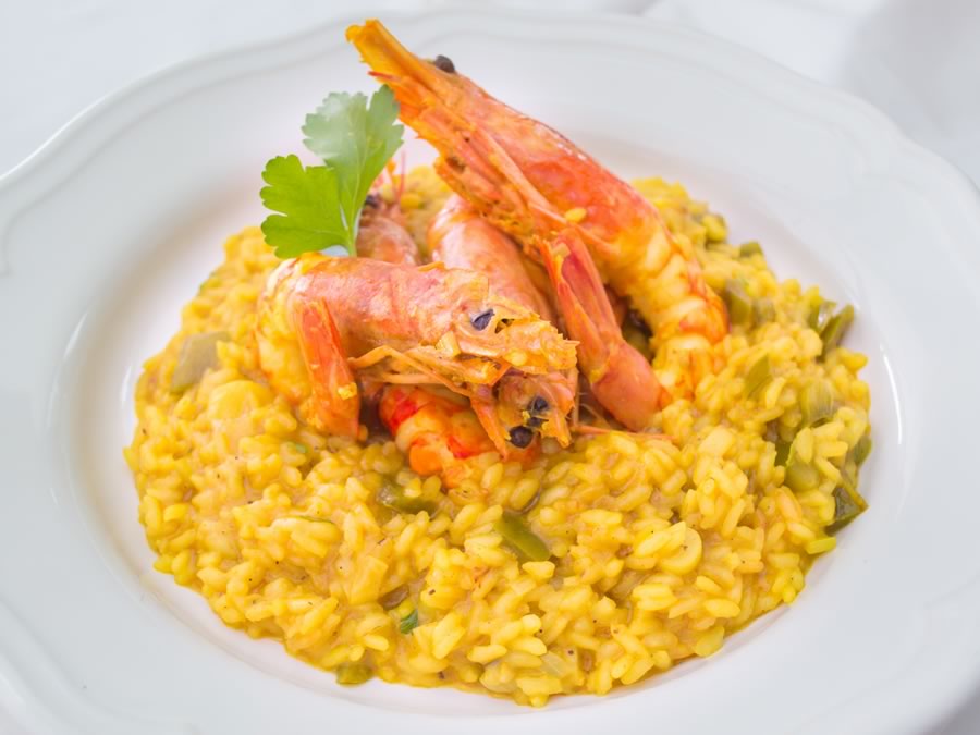 Open Bar & Open Food - Octo